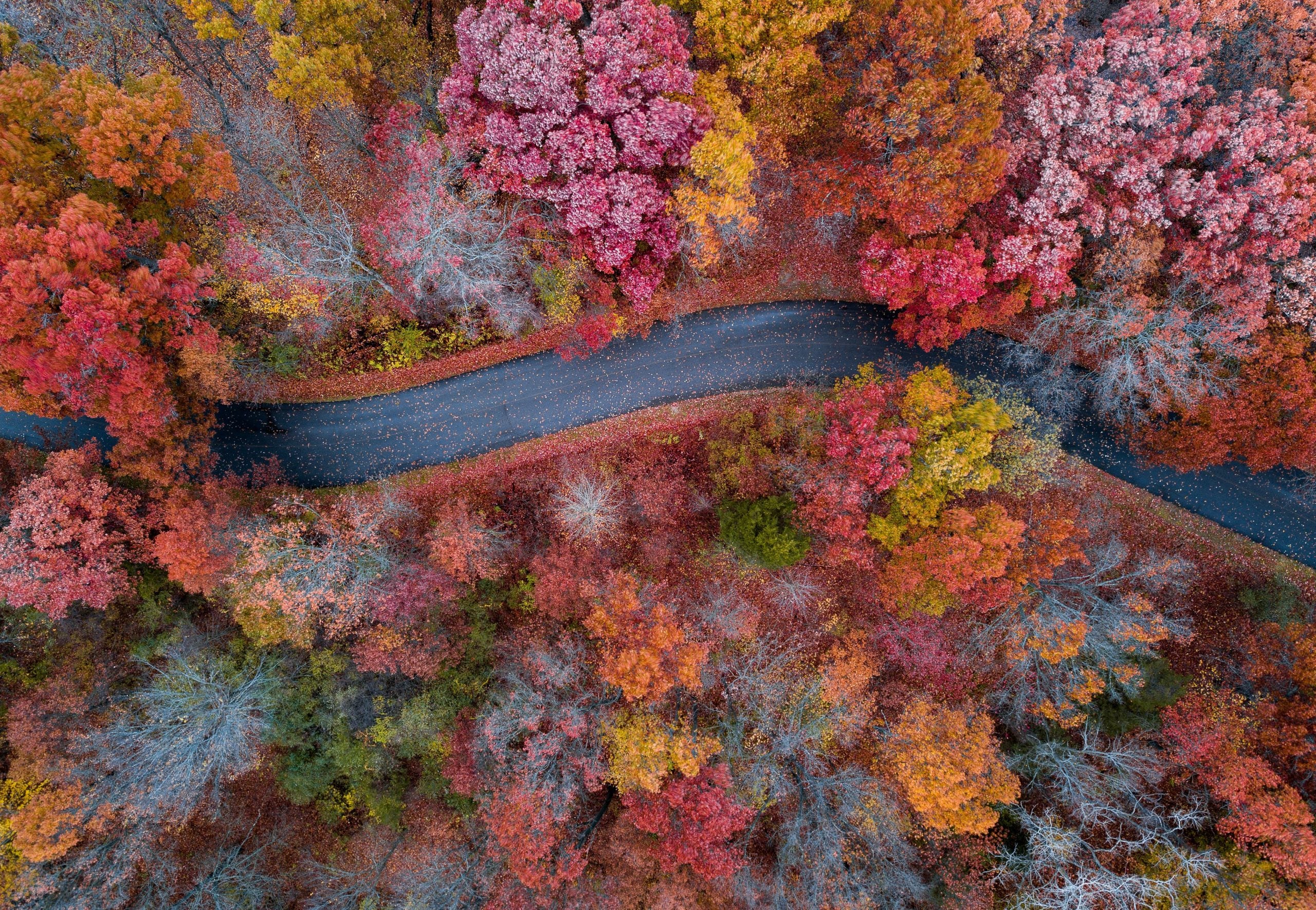 Quelles sont les couleurs tendance de l'autome-hiver 2023 ? – Hexagona ...